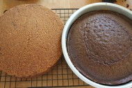 S'mores Cake Recipe | Celeb Baby Laundry