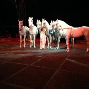 Shrine Circus: A Fun Night For the Whole Family | Celeb Baby Laundry