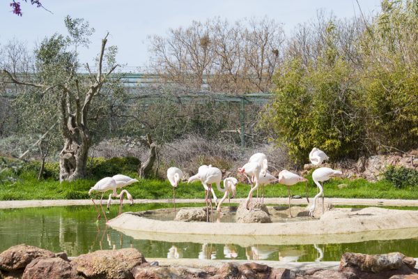 My Guide To Kid-Friendly Attractions In Athens | Celeb Baby Laundry