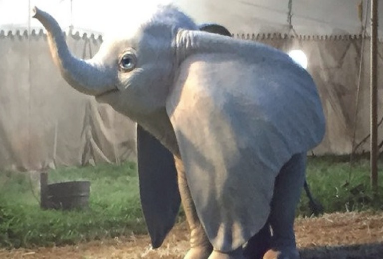 10 Reasons You Need to Take Your Children to the Live-Action Dumbo ...